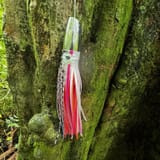 Cross Island Track and The Needle, Rarotonga, Cook Islands - 218 ...