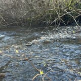 North Creek Trail, Washington - 562 Reviews, Map | AllTrails