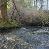 North Creek Trail, Washington - 562 Reviews, Map | AllTrails