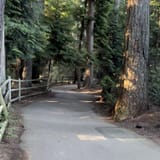North Creek Trail, Washington - 562 Reviews, Map | AllTrails