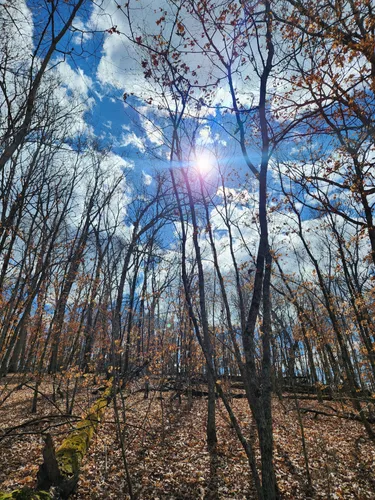 Best Hikes and Trails in Painted Rock Conservation Area | AllTrails