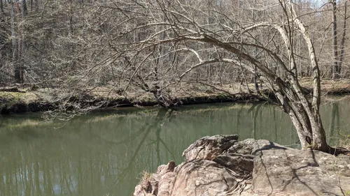 Best Hikes and Trails in Hemlock Overlook Regional Park | AllTrails