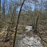 Poor Farm Park Trails, Virginia - 641 Reviews, Map | AllTrails