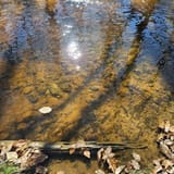 Poor Farm Park Trails, Virginia - 641 Reviews, Map | AllTrails