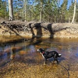 Poor Farm Park Trails, Virginia - 641 Reviews, Map | AllTrails