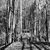 Poor Farm Park Trails, Virginia - 641 Reviews, Map | AllTrails
