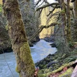 Robe Canyon Historic Trail, Washington - 940 Reviews, Map | AllTrails