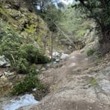 Millard Canyon Falls Trail, California - 4,405 Reviews, Map | AllTrails