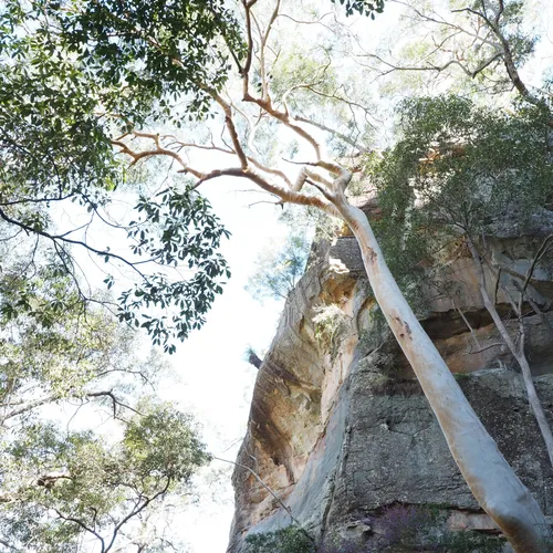 Best Hikes and Trails in Cania Gorge National Park | AllTrails