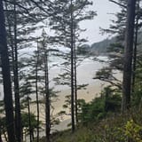Oregon Coast Trail: Arch Cape to Devil's Cauldron, Oregon - 186 Reviews ...