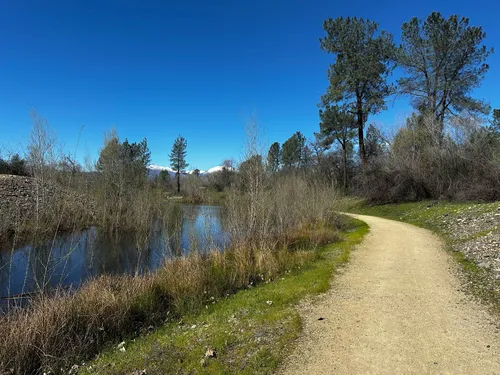 Best Hikes and Trails in Turtle Bay Exploration Park | AllTrails