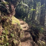 Secret Beach Trail, Oregon - 1,303 Reviews, Map | AllTrails
