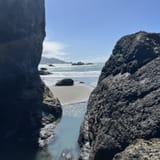 Secret Beach Trail, Oregon - 1,303 Reviews, Map | AllTrails