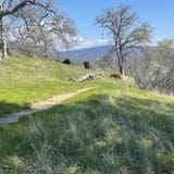 Pa'san Ridge Trail, California - 1,009 Reviews, Map | AllTrails