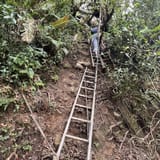 Mount Nuang, Selangor, Malaysia - 243 Reviews, Map | AllTrails