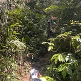 Mount Nuang, Selangor, Malaysia - 243 Reviews, Map | AllTrails