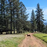 Mount Sizer via Monument Trail to Hobbs Road, California - 214 Reviews ...