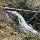 Mima Falls East Trail, Washington - 1,758 Reviews, Map | AllTrails