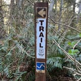 Amanda's Trail, Oregon - 545 Reviews, Map | AllTrails