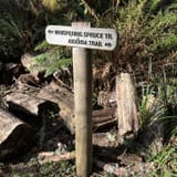 Amanda's Trail, Oregon - 545 Reviews, Map | AllTrails