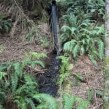 Amanda's Trail, Oregon - 493 Reviews, Map | AllTrails