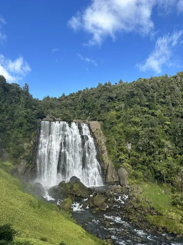 Best River Trails in Te Anga | AllTrails