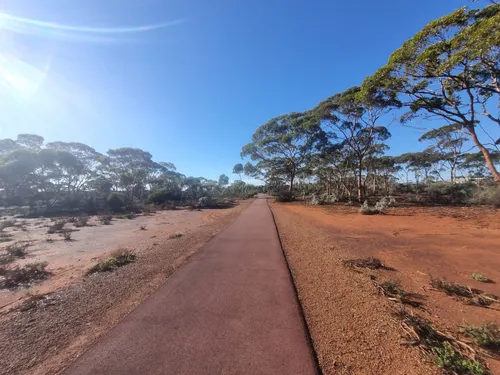 Best Hikes and Trails in Karlkurla Bushland Park | AllTrails