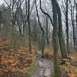 Chopwell Woods and River Derwent Circular, Tyne and Wear, England - 313 ...