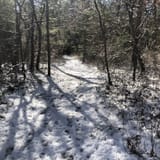 Pawcatuck River Loop, Rhode Island - 251 Reviews, Map | AllTrails