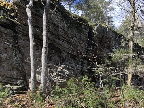 Best Hikes and Trails in Upper Three Mile River Preserve | AllTrails