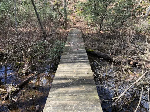 Best Hikes and Trails in Upper Three Mile River Preserve | AllTrails