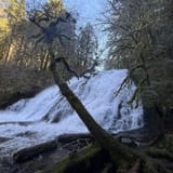 Alsea Falls and Green Peak Falls, Oregon - 1,074 Reviews, Map | AllTrails