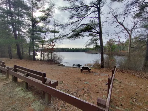 Best Hikes and Trails in Massasoit State Park | AllTrails