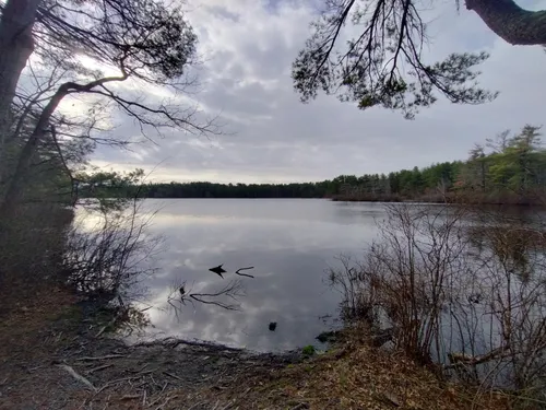 Best Hikes and Trails in Massasoit State Park | AllTrails