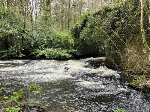 Best Hikes and Trails in Deerpark Forest | AllTrails