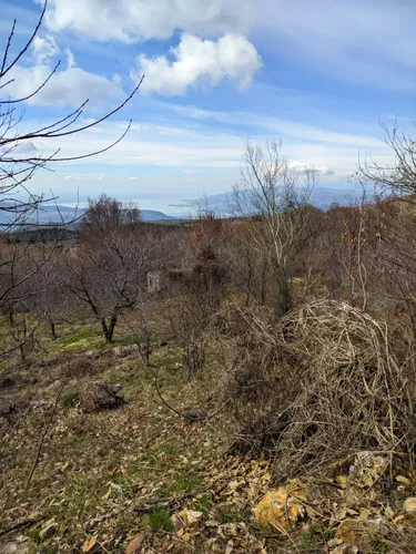 Best Forest Trails in Sarakinos - Kaliakouda - Panagias - Pournari ...