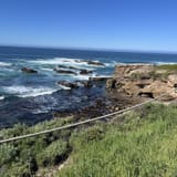 Point Buchon Trail, California - 608 Reviews, Map | AllTrails