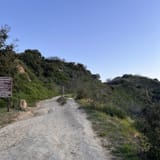 Fryman Canyon Trail, California - 6,148 Reviews, Map | AllTrails