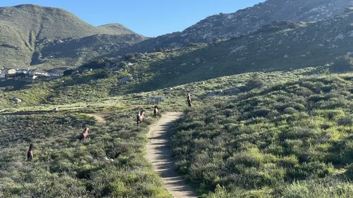 Best Horseback Riding Trails in Norco | AllTrails
