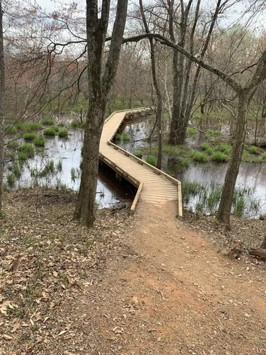 Best Forest Trails in Anderson | AllTrails