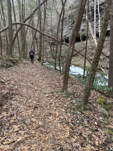 Best Kid Friendly Trails in Spring City | AllTrails