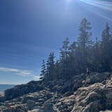 Ocean Path Trail, Maine - 3,364 Reviews, Map | AllTrails