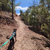 Carlito Springs Loop, New Mexico - 462 Reviews, Map | AllTrails