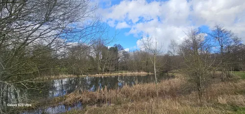 Best Hikes and Trails in Blythe Valley Park | AllTrails