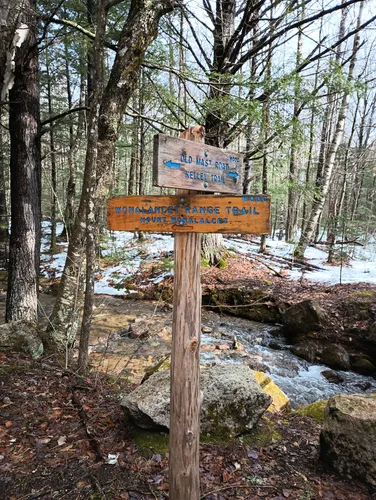 Best Dogs On Leash Trails in Sandwich Range Wilderness | AllTrails