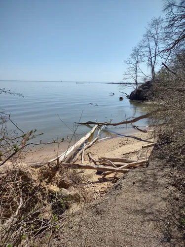 Best Kid Friendly Trails in North Point State Park | AllTrails