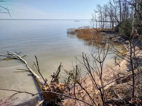 Best Kid Friendly Trails in North Point State Park | AllTrails