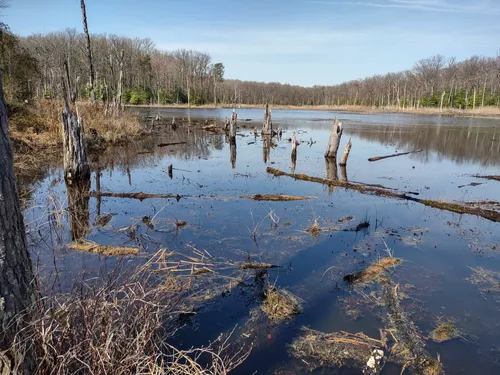 Best Kid Friendly Trails in North Point State Park | AllTrails