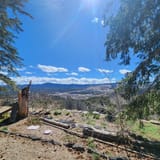 Carlito Springs Loop, New Mexico - 462 Reviews, Map | AllTrails