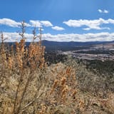 Carlito Springs Loop, New Mexico - 462 Reviews, Map | AllTrails